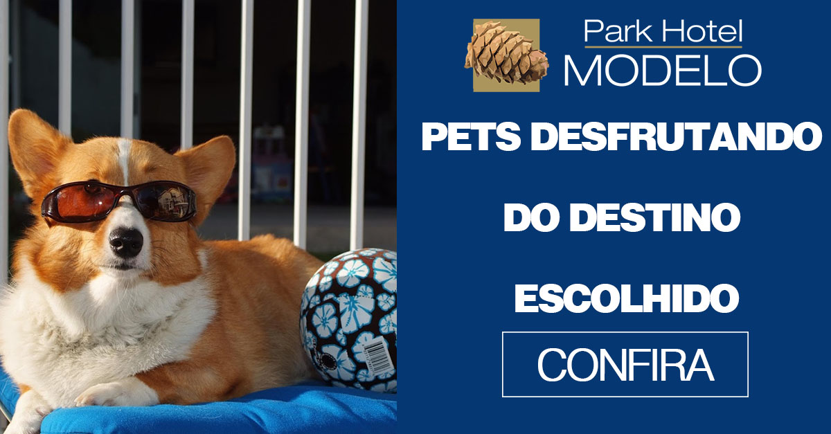 PETS FELIZES DESFRUTANDO DO DESTINO ! É AQUI CONOSCO!